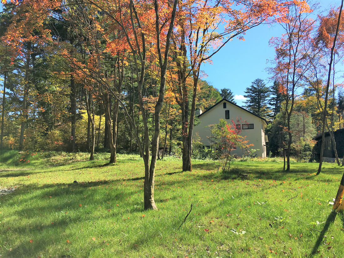 it's HOUSE – it's HOUSE